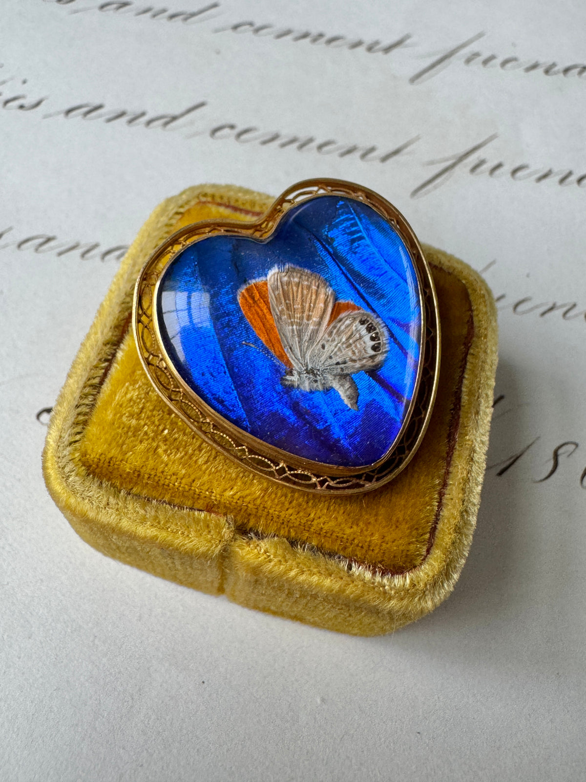 Antique 14K Gold Morpho Butterfly Wing Heart Brooch– Park Avenue Antiques